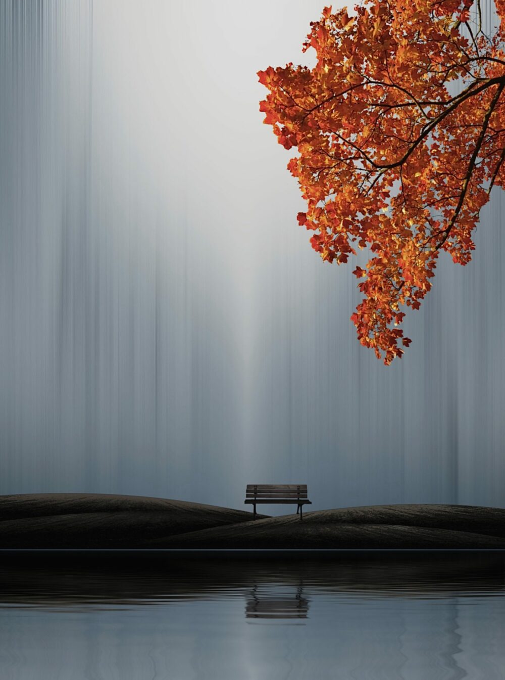 niphisi | Kunstdrucke von Dirk Fleischmann