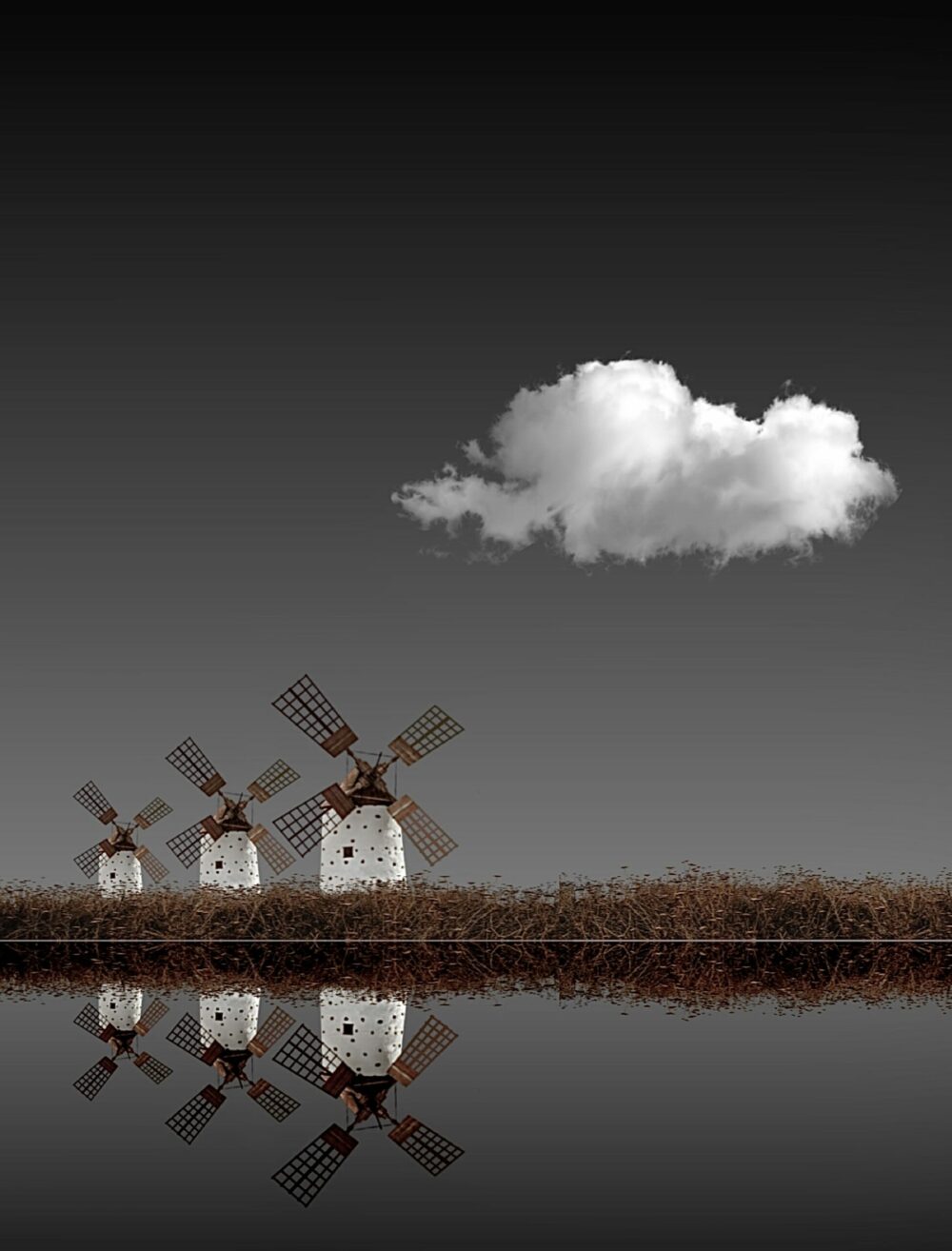 niphisi | Kunstdrucke von Dirk Fleischmann