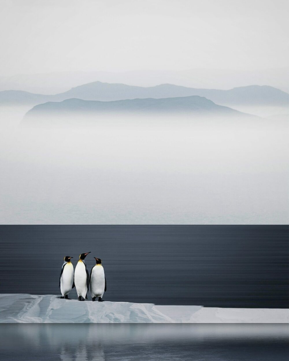 niphisi | Kunstdrucke von Dirk Fleischmann